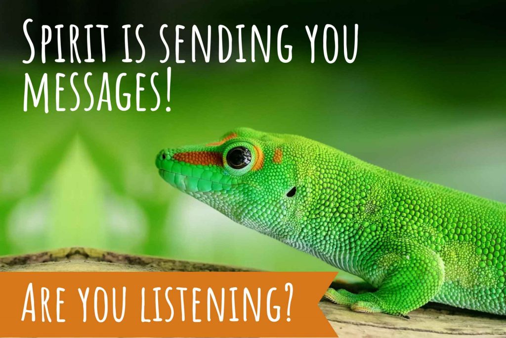 How to Recognize Animal Messages from Spirit - Totally Witchin ...